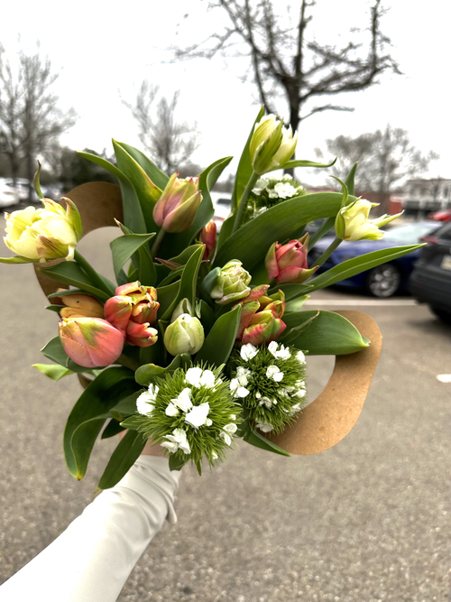 Gallery — Yellow Van Farms