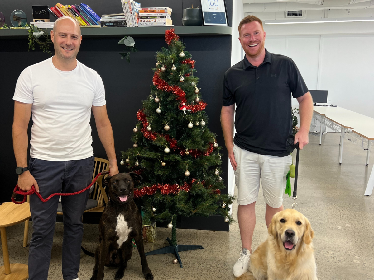 Kaimera Holiday Message — Kaimera