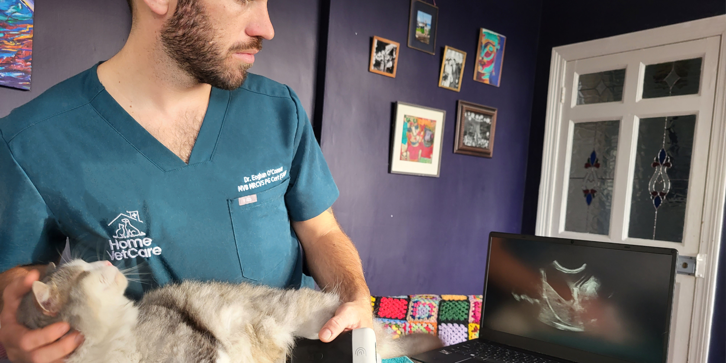 At-Home Veterinary Services - Home Veterinary Care - Home Vetcare