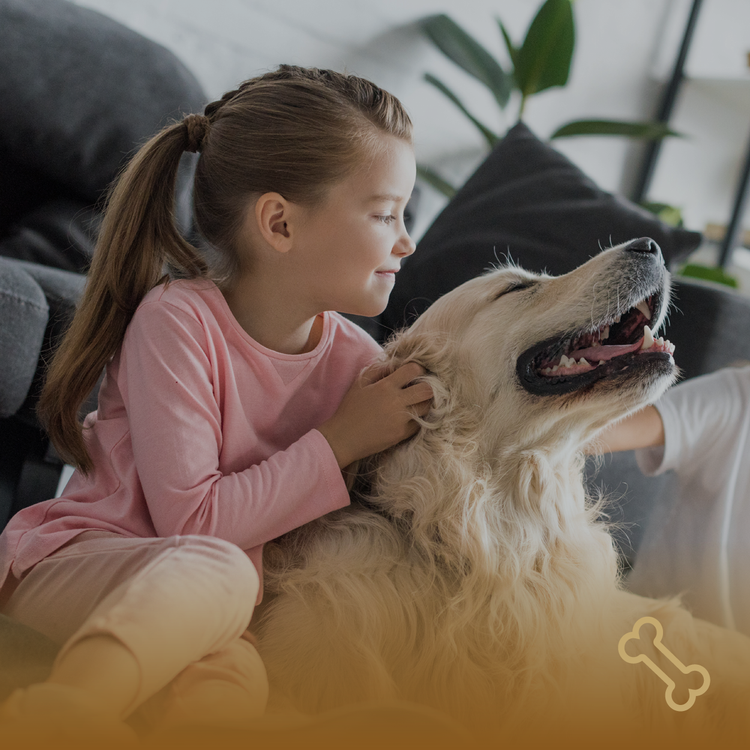 At-Home Veterinary Services - Home Veterinary Care - Home Vetcare