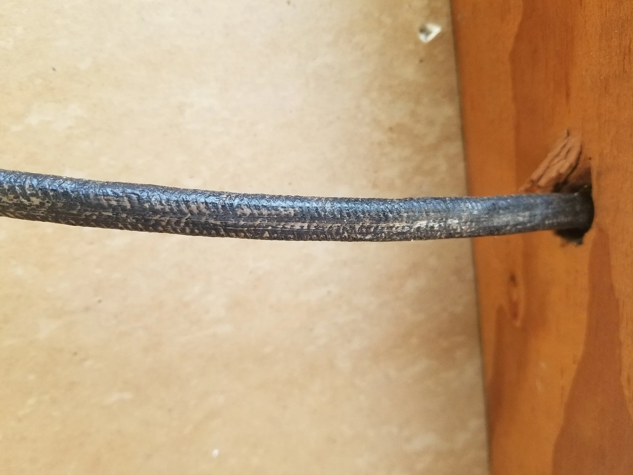 Understanding Ungrounded Electrical Wiring in Older Homes: A Home ...