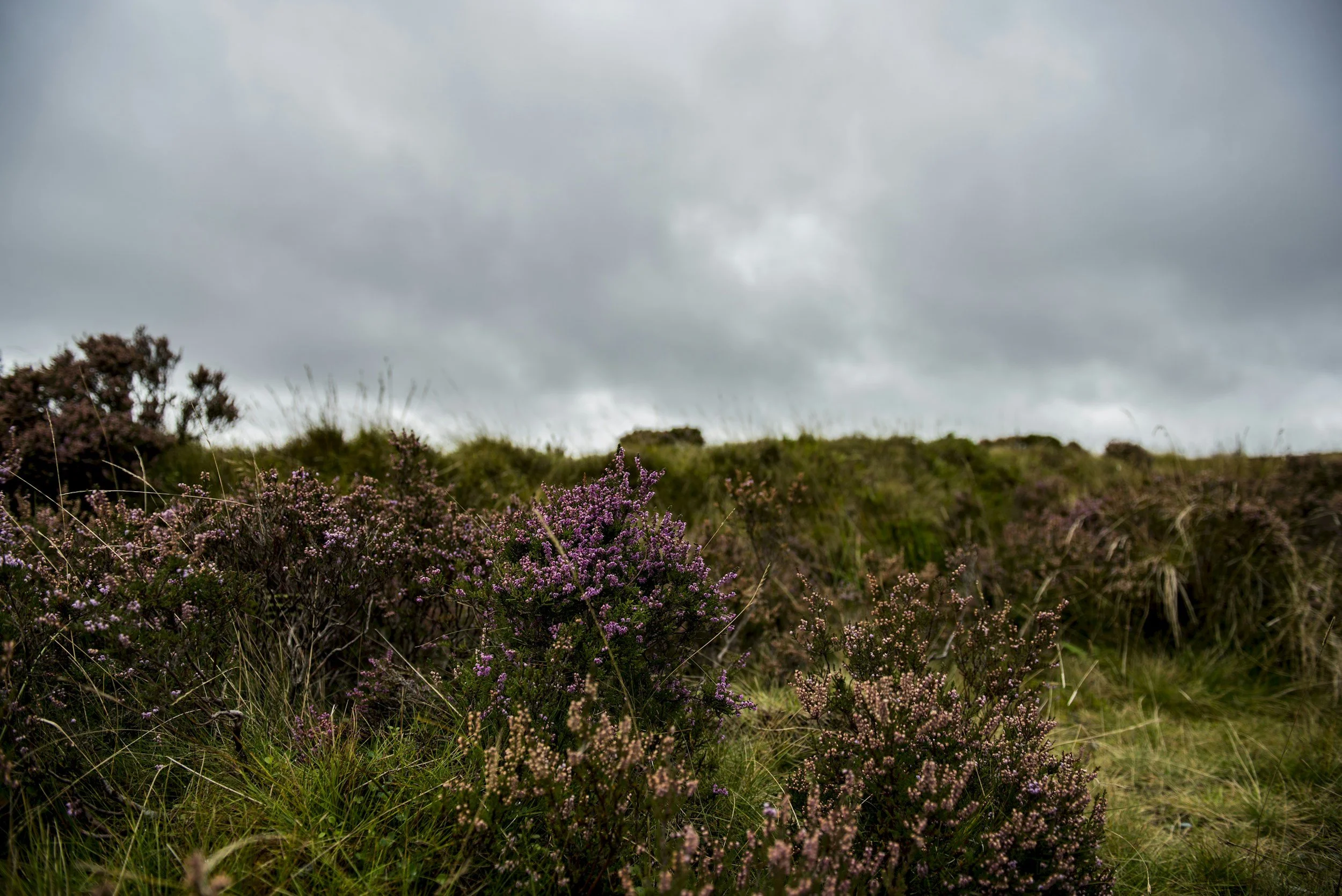 Ten Cornish Myths and Legends — Mungo Lils on the Hill