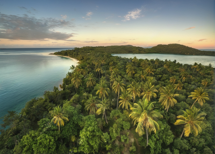 PRGreenEnergyTrust.org