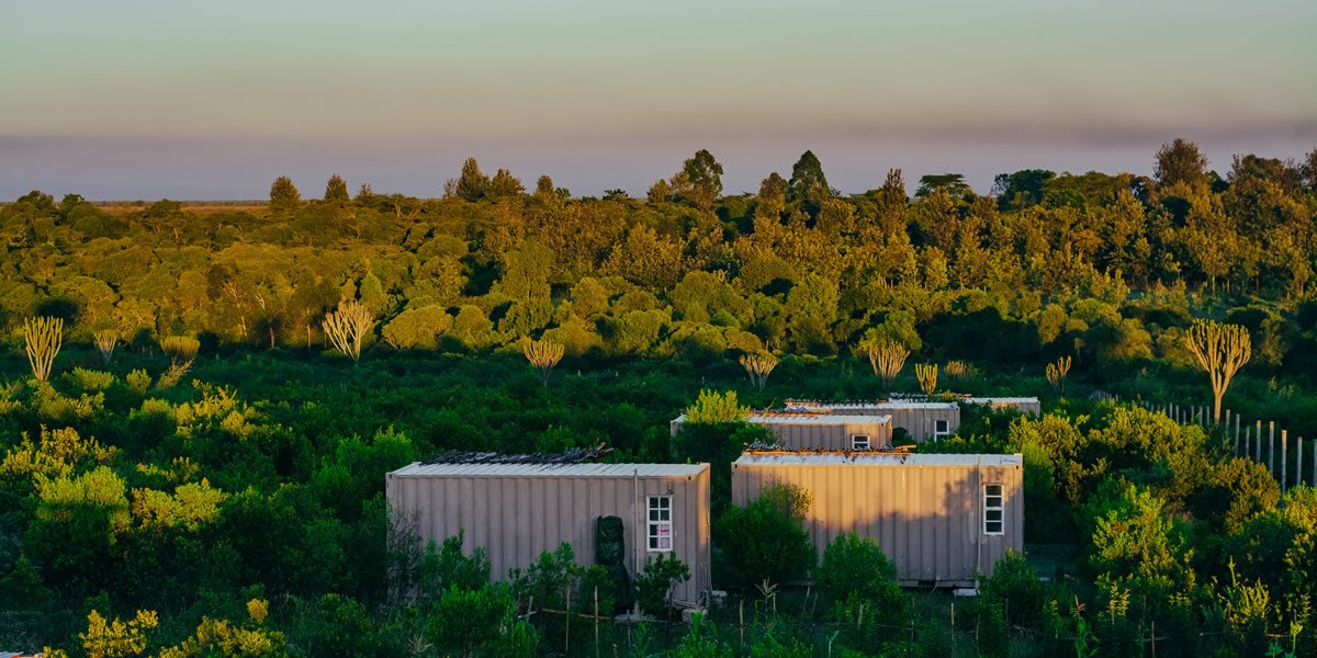 DAIGAS EDGE — SIGHTS AND SCENES KENYA