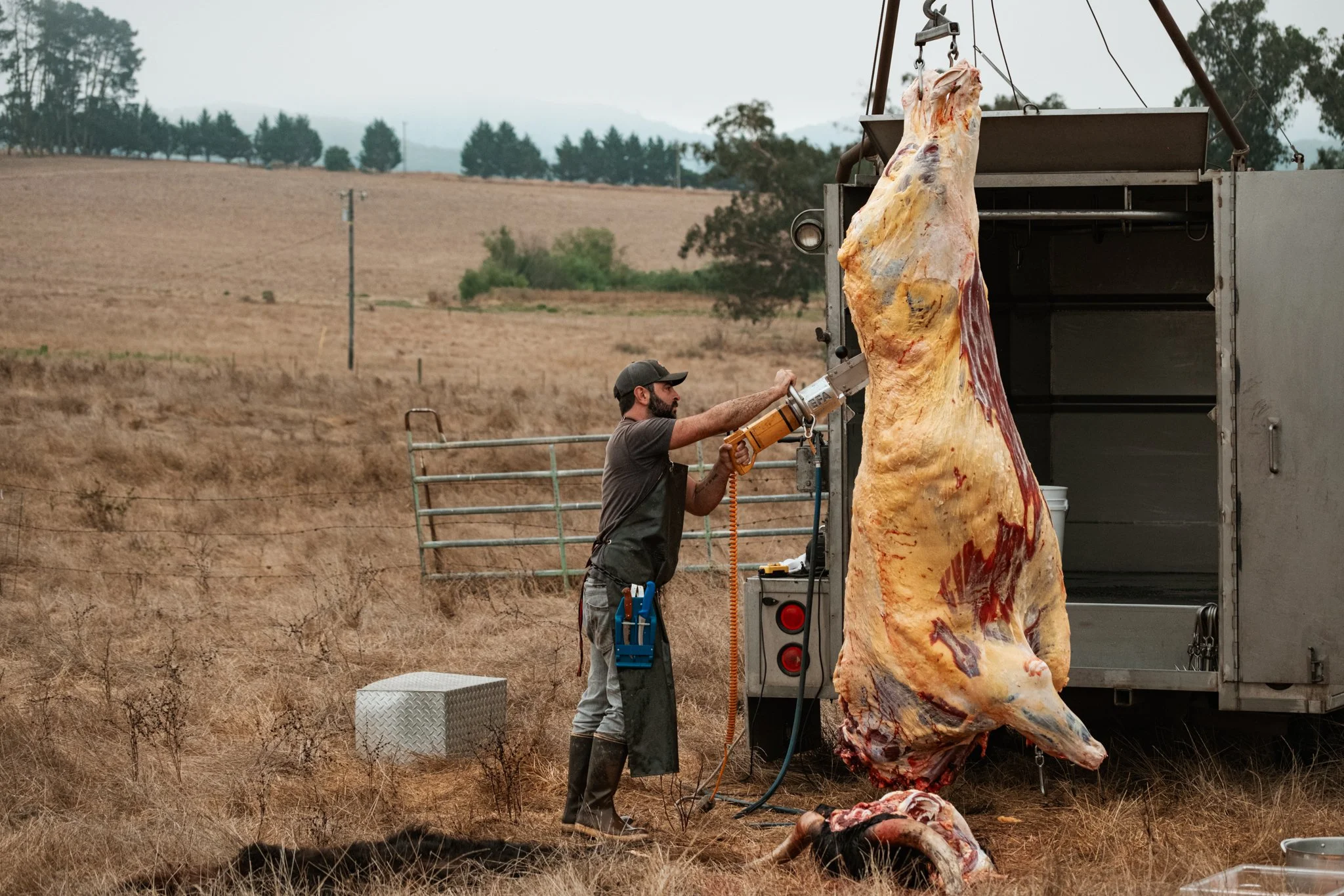 Hogsback Custom Meats