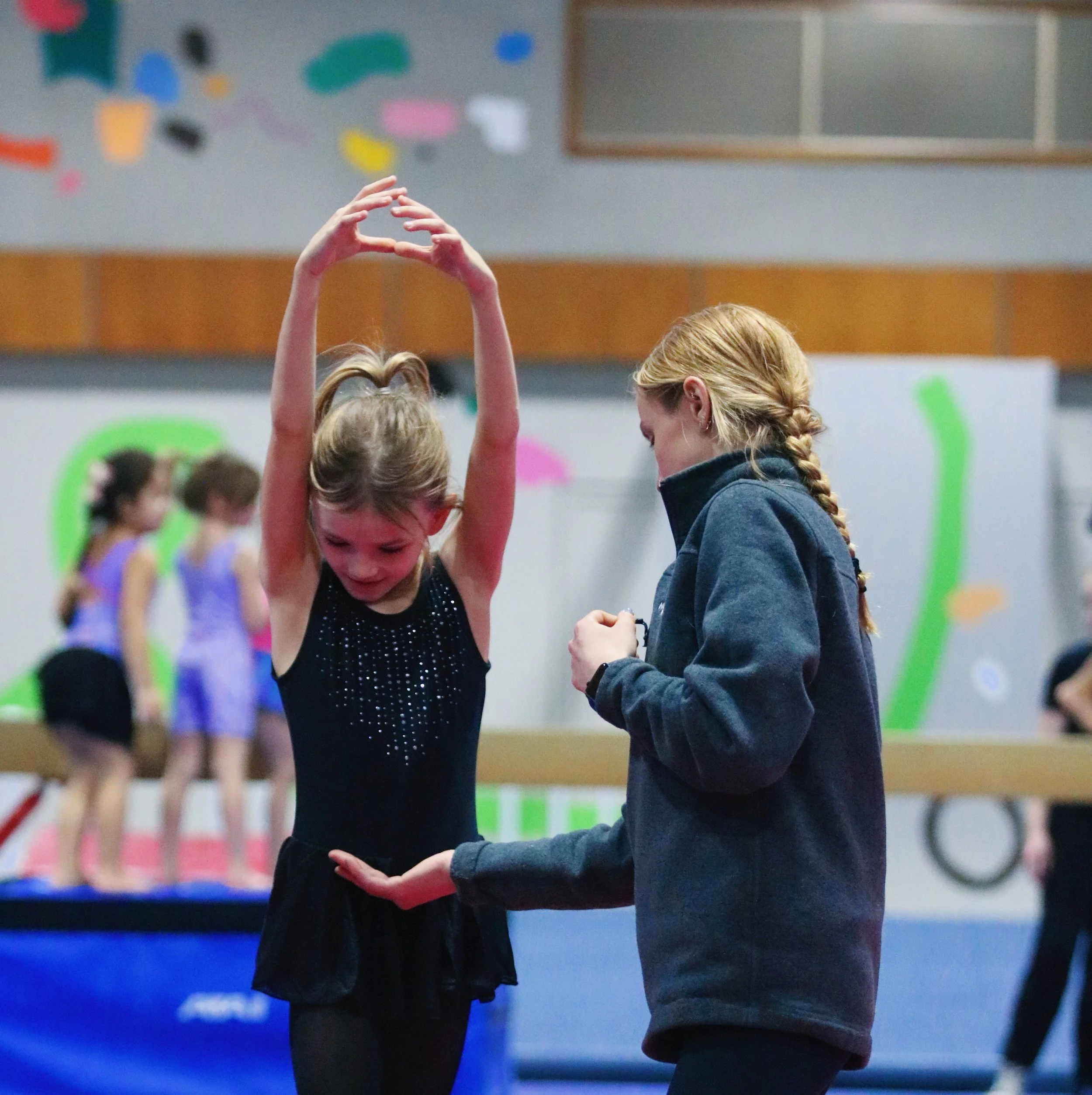 Classes — Rebels Gymnastics