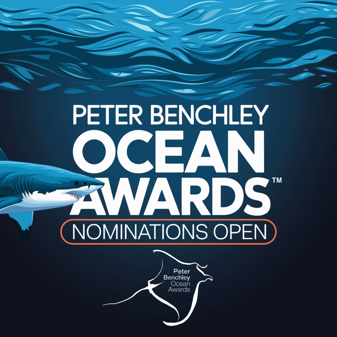 Nominations for Ocean Awards Now Open — acp.o