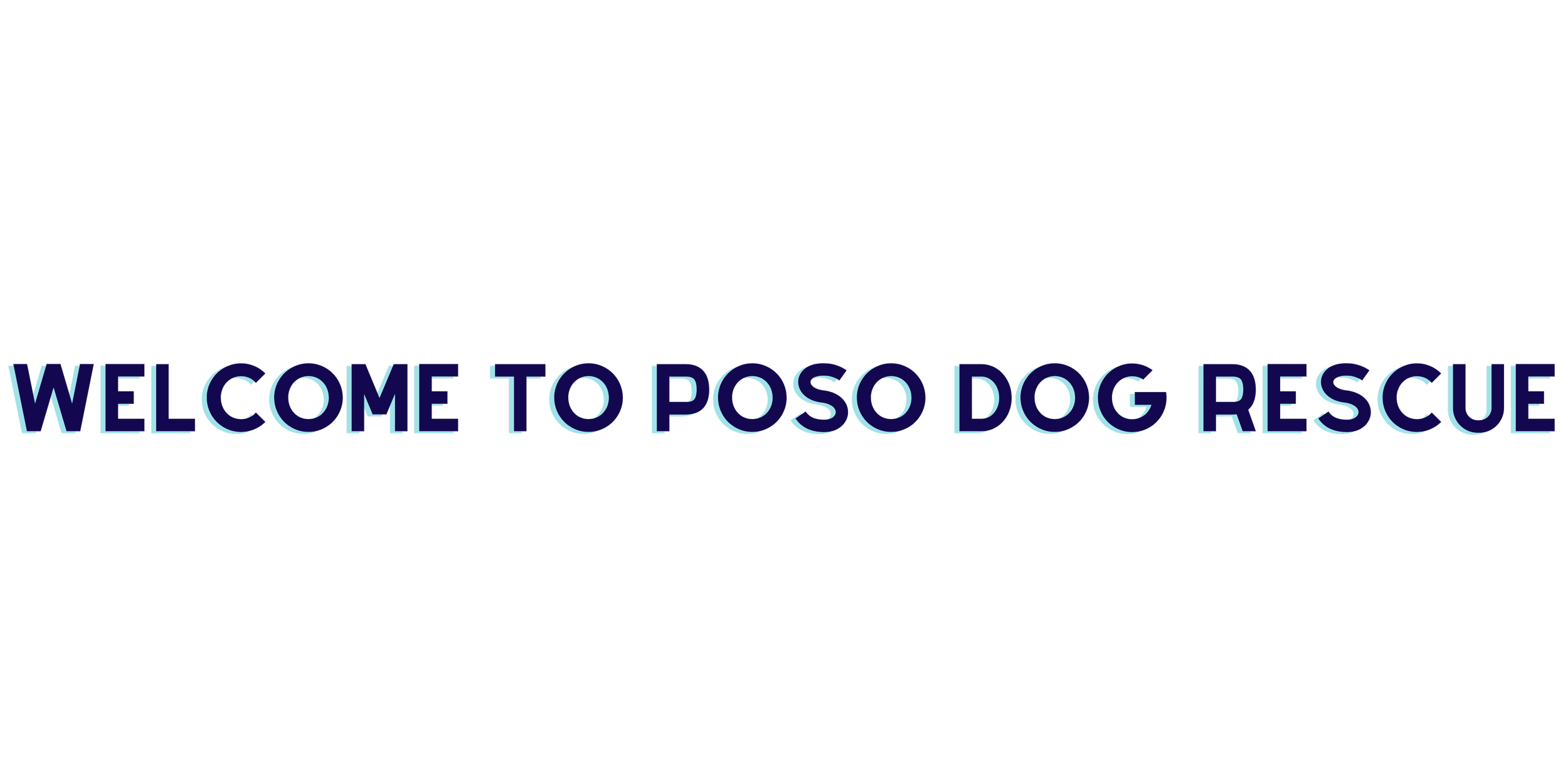 POSO Dog Rescue