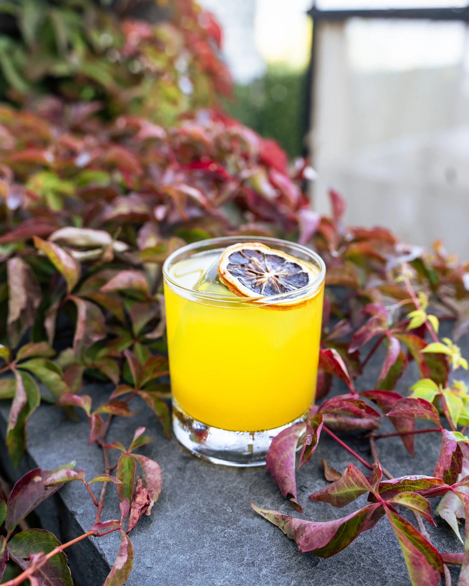 Edgewater — De Novo