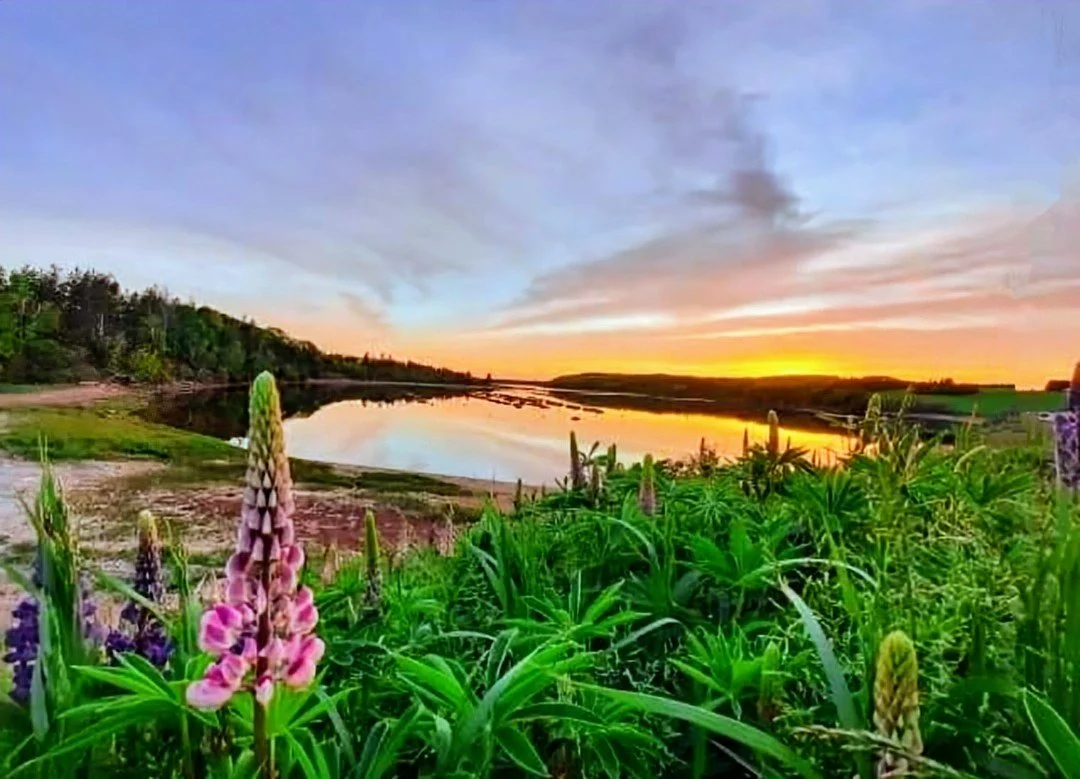 Booking — Clinton Pond BnB