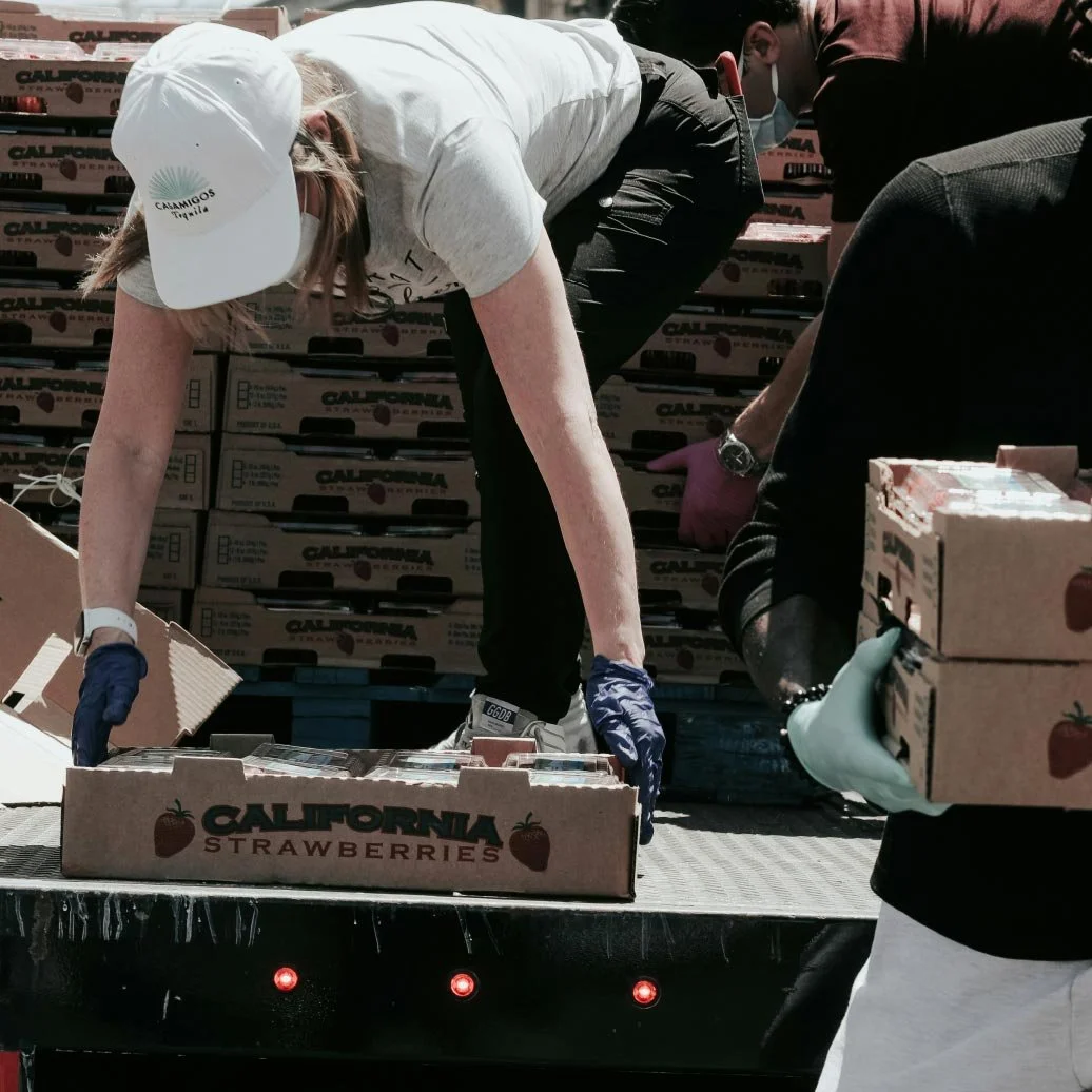 Training — Mobilise