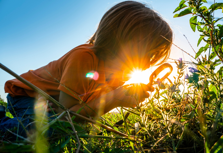 Blog — Climate Feelings Space