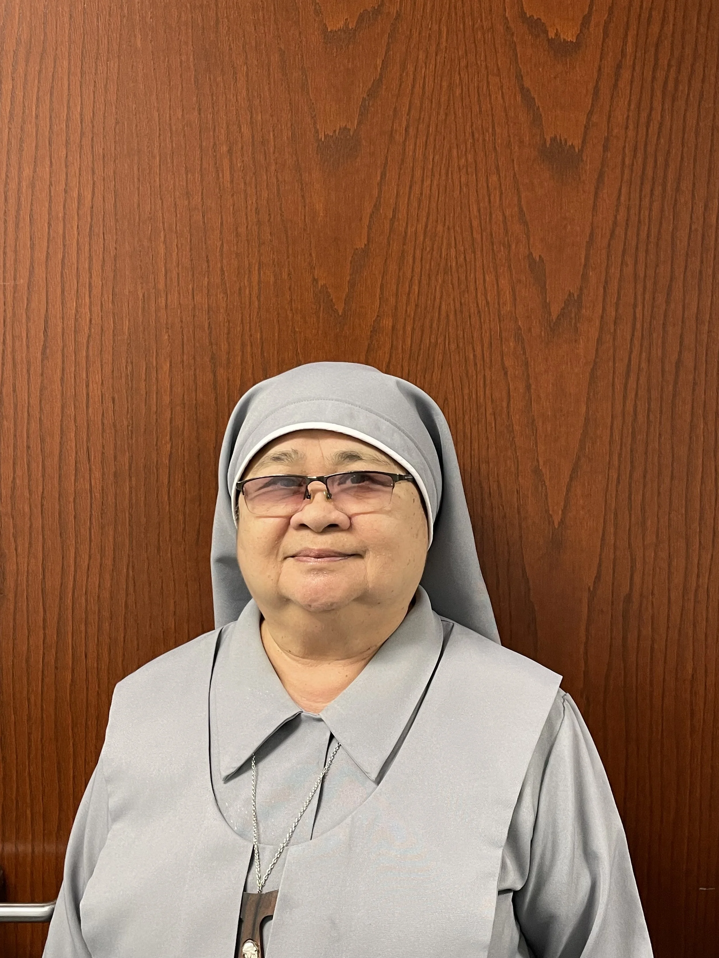 Catholic Charities by County — Catholic Diocese of Peoria