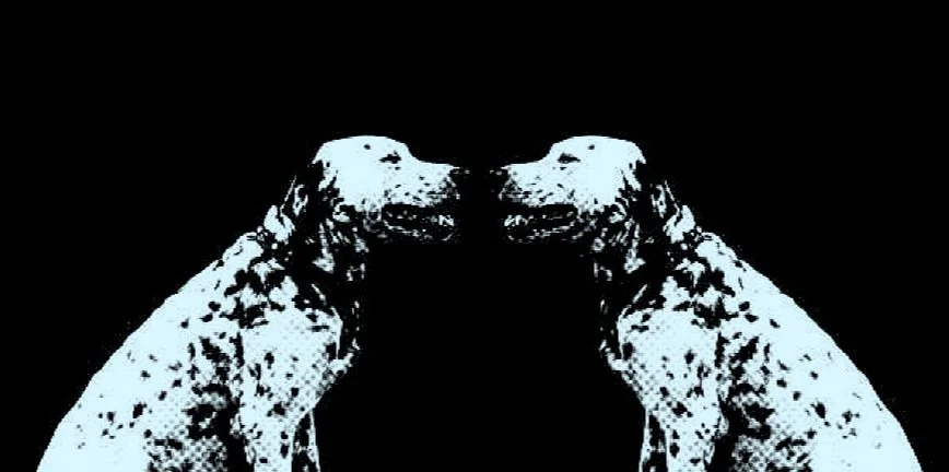Sublime Official Website | Sublime Tour, Merch, Music & More