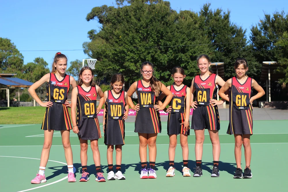 Dingley Junior Netball Club