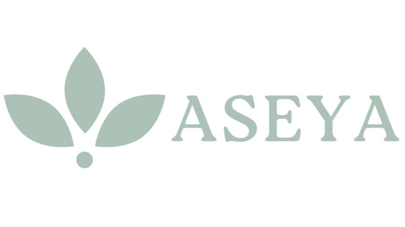 How To Be A Conscious Business And Where To Start — ASEYA