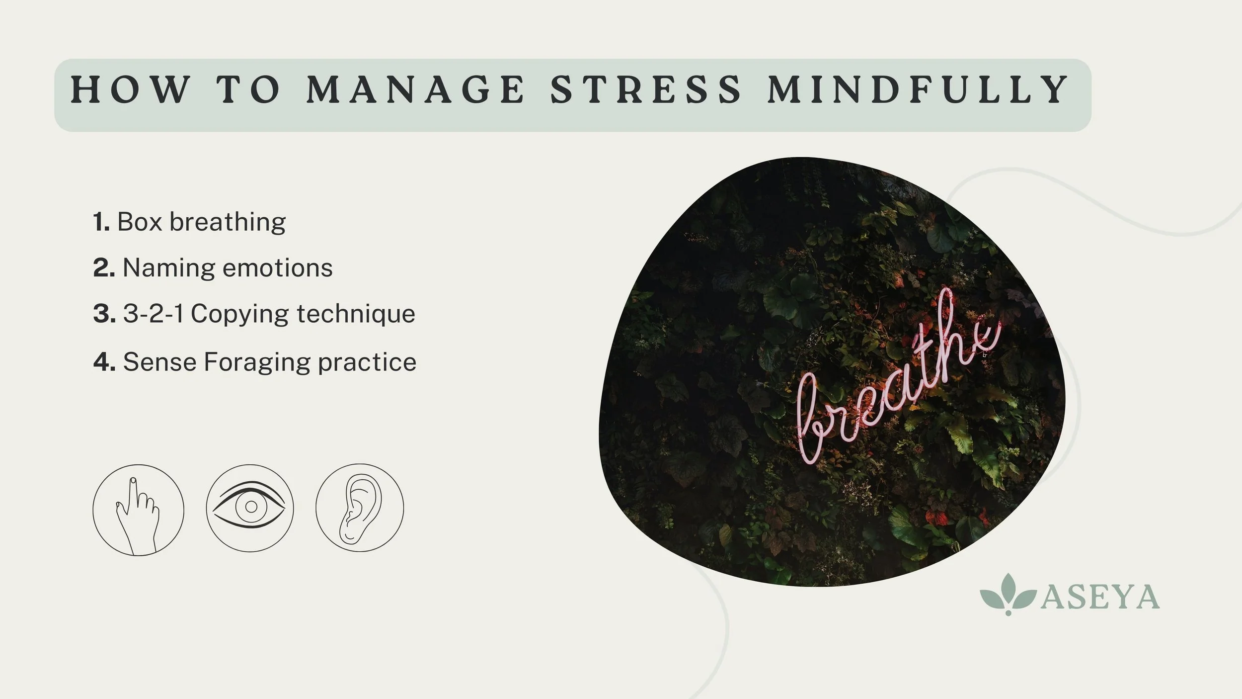 How to Use Mindfulness to Manage Stress in the Workplace — ASEYA