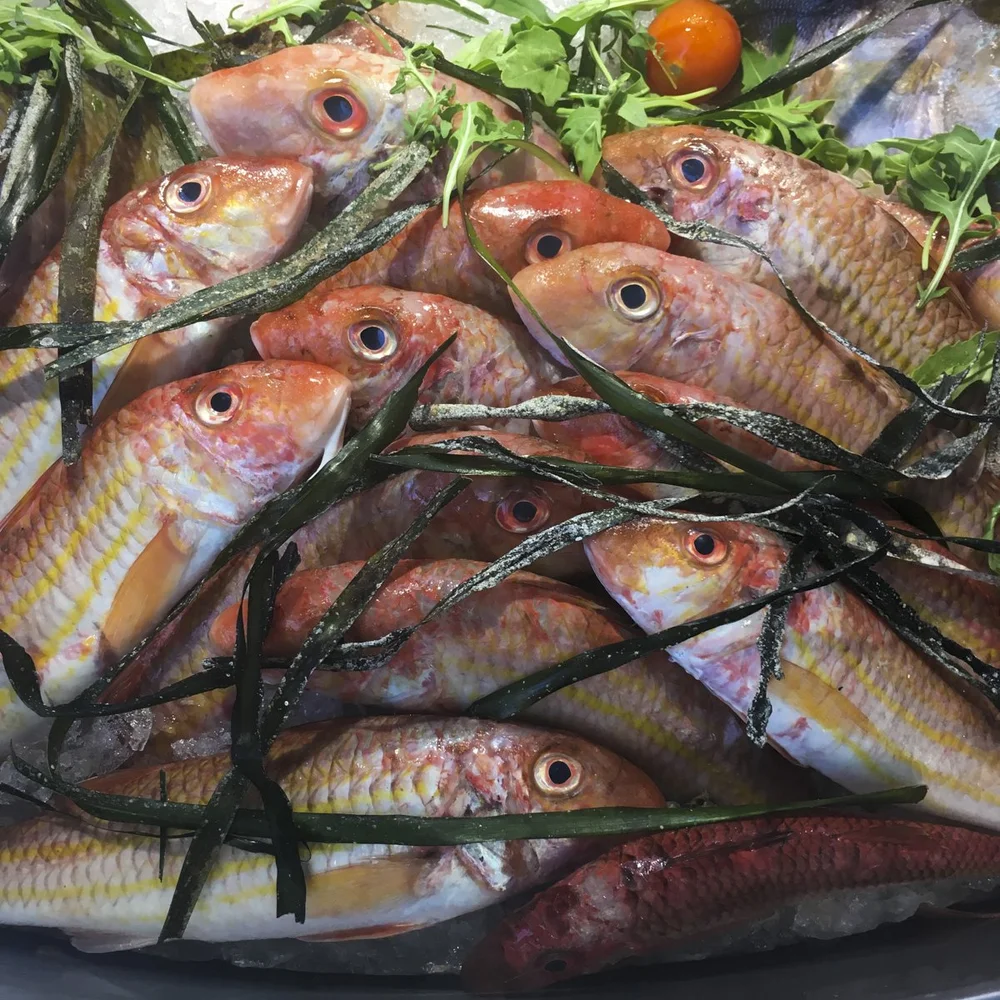 MALTA: THE GOOD, THE BAD & THE UGLY — The Expeditionist