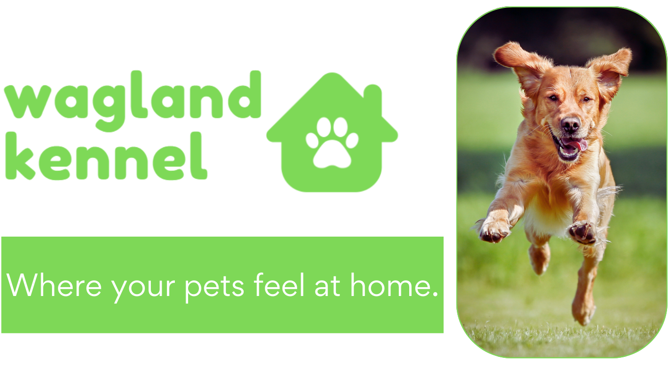 Wagland Kennel Best Dog Boarding in Tallahassee, FL. Reliable Dog ...
