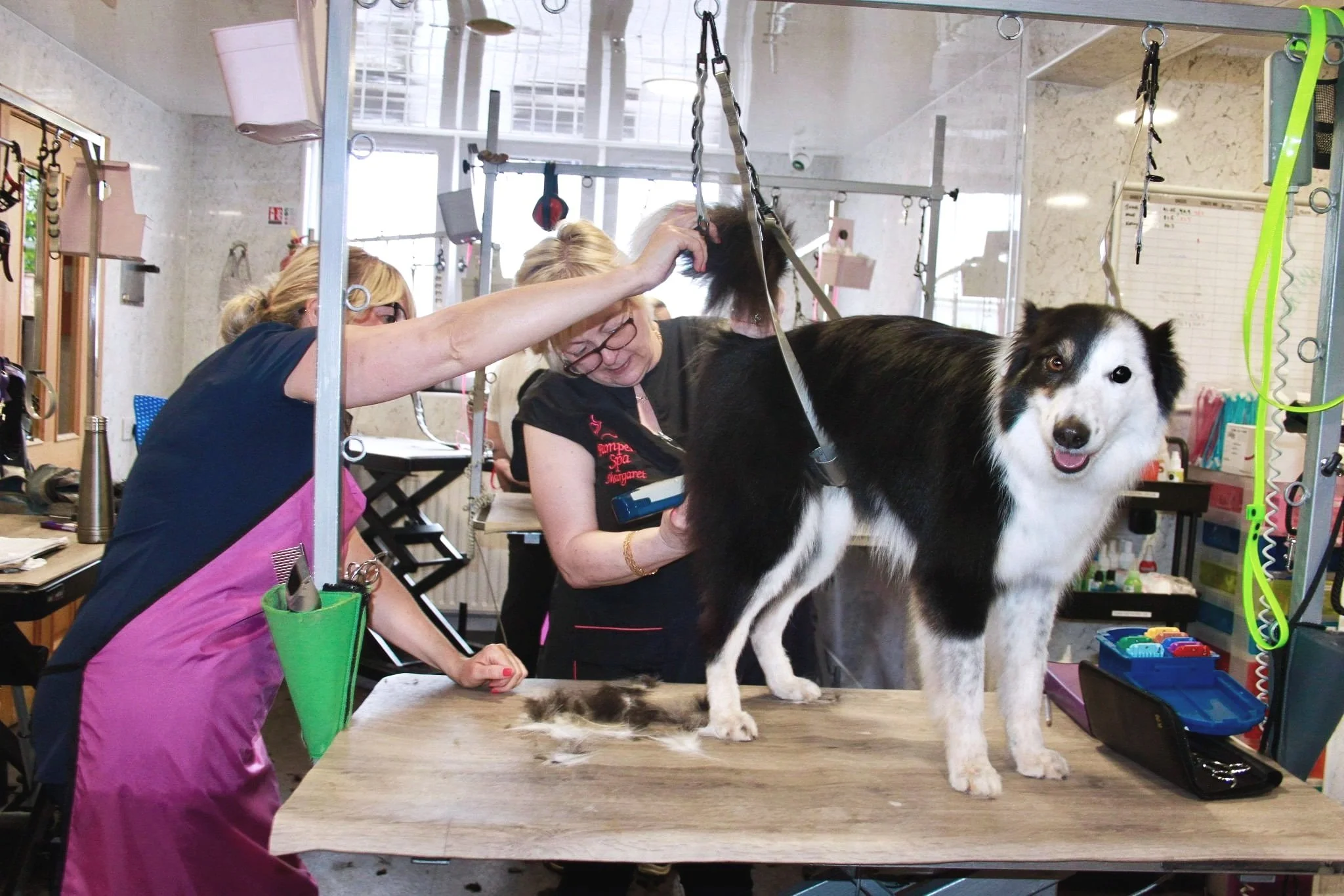 Services 2 — Pampers Grooming Academy