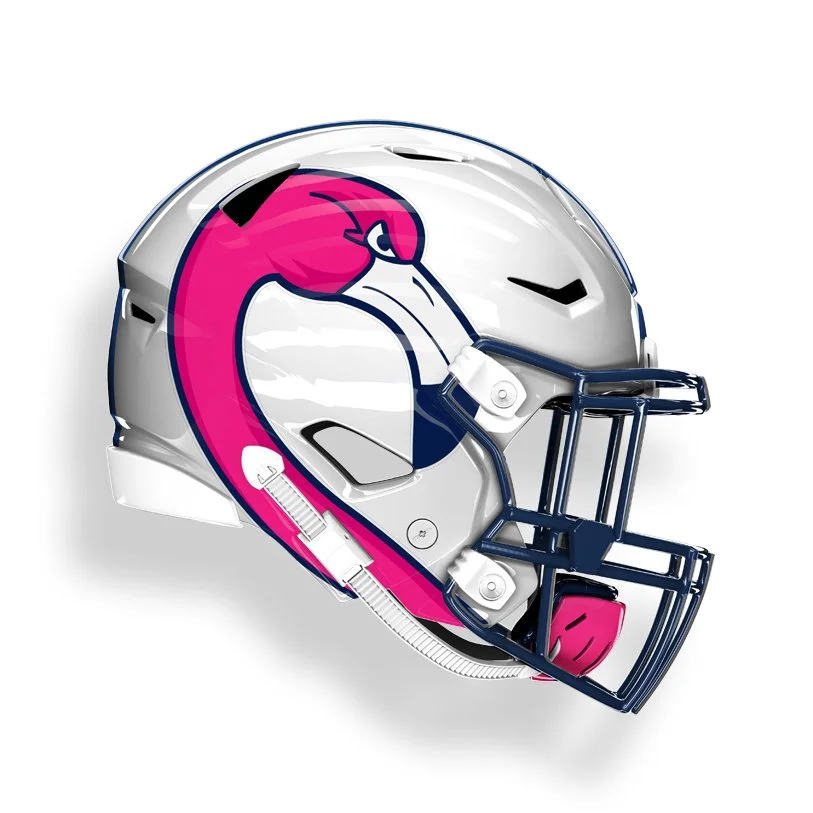 Teams of the MLF — MAJOR LEAGUE FOOTBALL