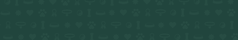 Dogma Dog Training Service – Ames, Iowa