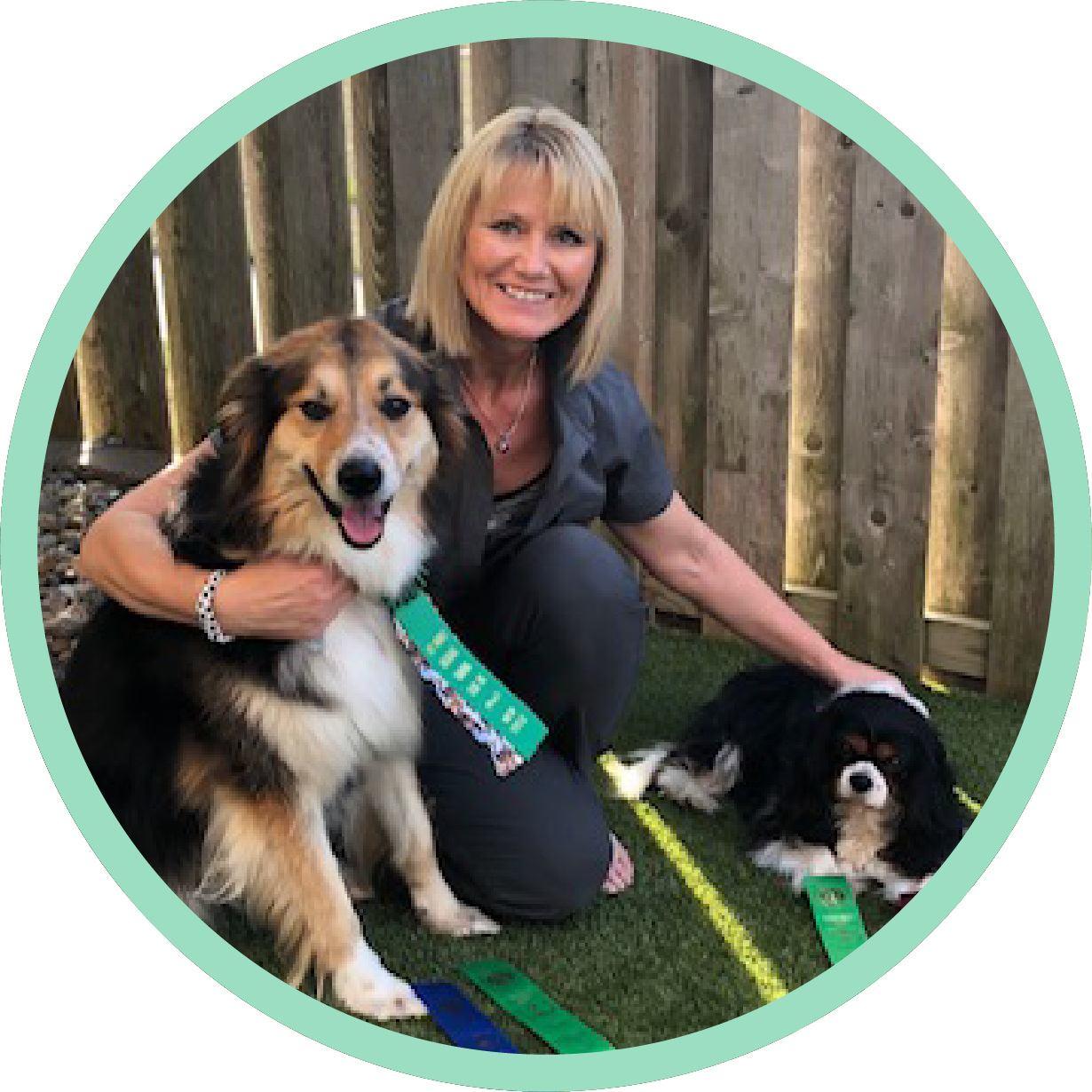 Dogma Dog Training Service – Ames, Iowa