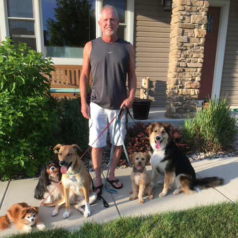 Dogma Dog Training Service – Ames, Iowa