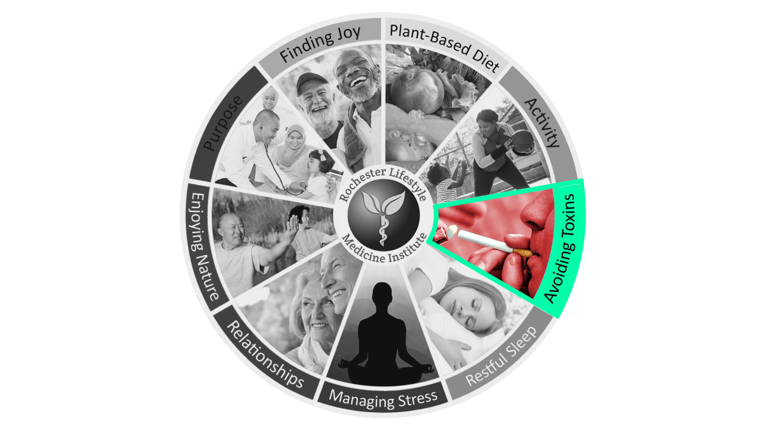 How to Avoid Toxins for Better Health | The Third Pillar of Lifestyle ...