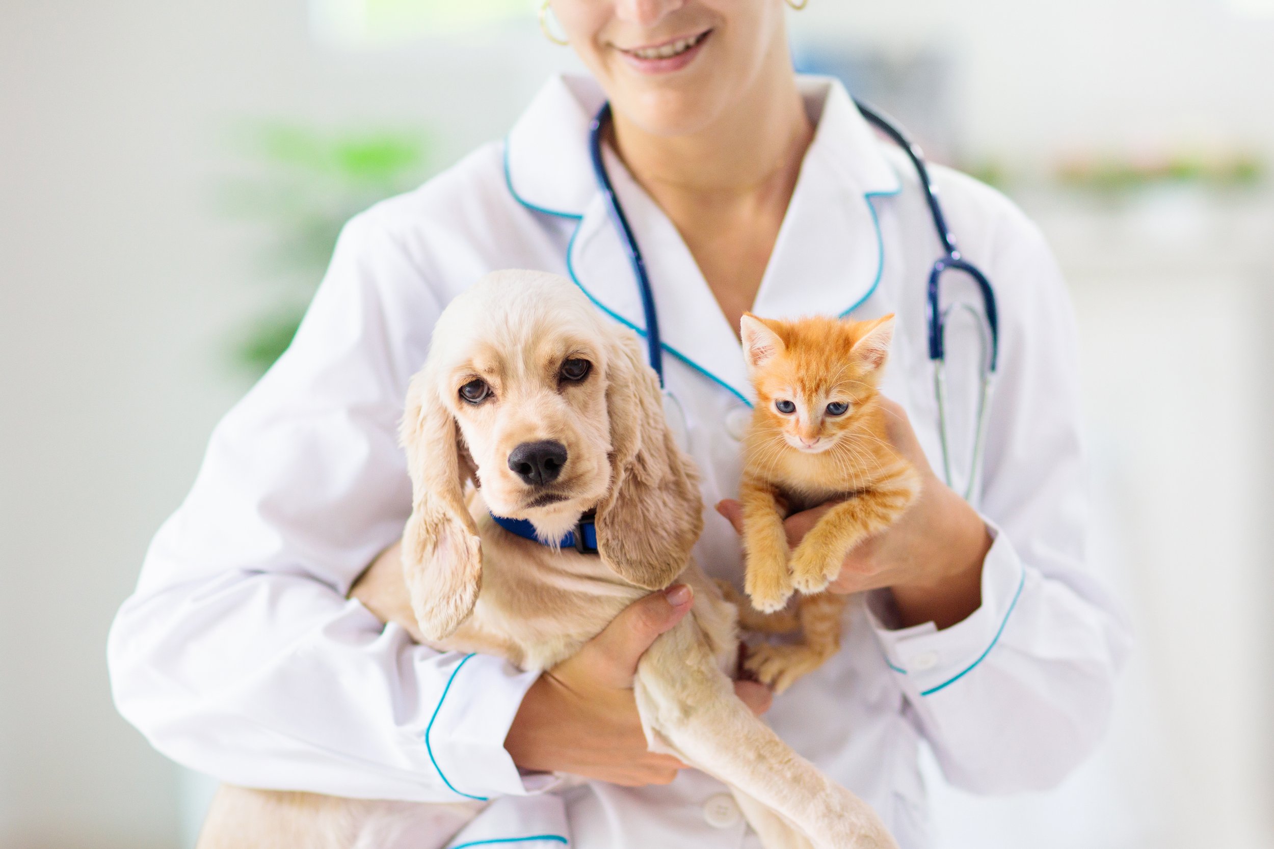 Capps Veterinary Clinic