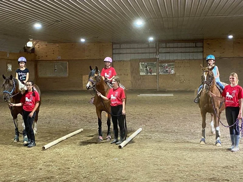 Enroll in our all-level Riding Lessons — Regent Arabians