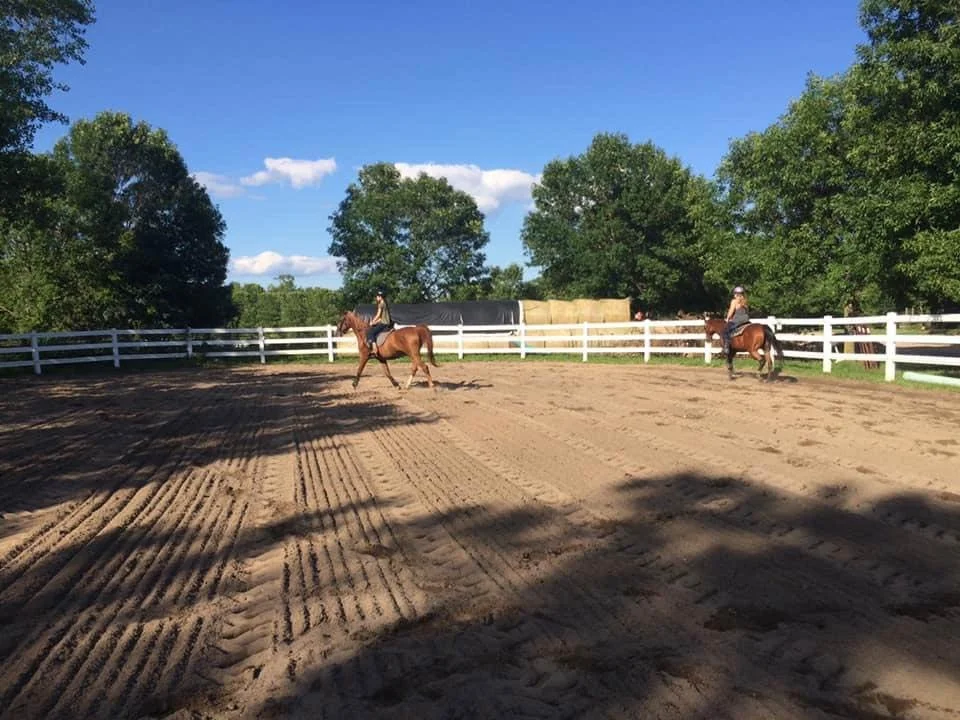 Enroll in our all-level Riding Lessons — Regent Arabians