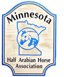 Regent Arabians: Your premier destination for horse lovers!