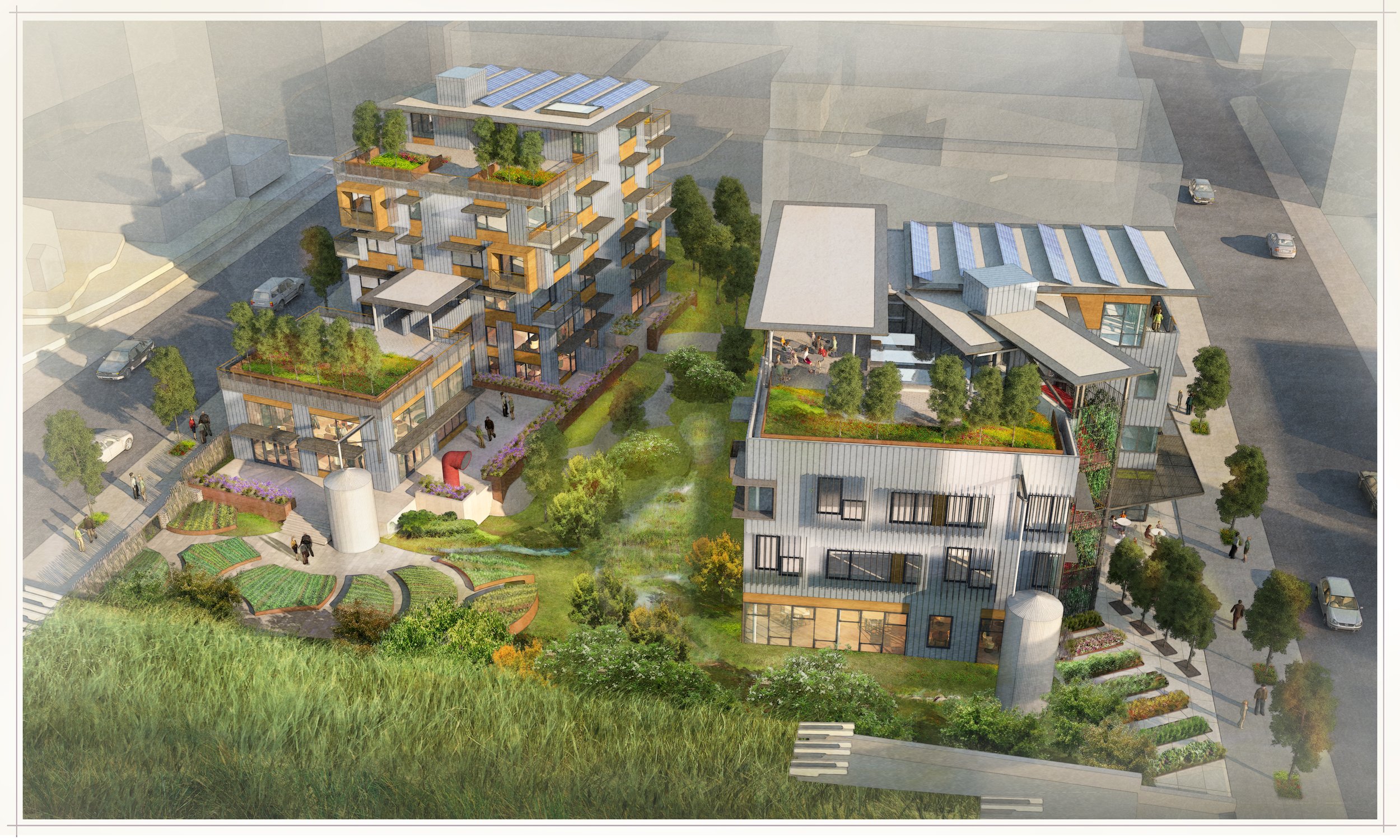 Working with Trees in the Built Environment — Johnston Architects