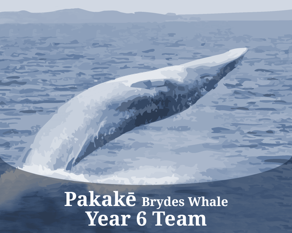 St Heliers School | Navigating Success Together