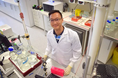 Unravelling the hidden story of a protein — St Catherine's College