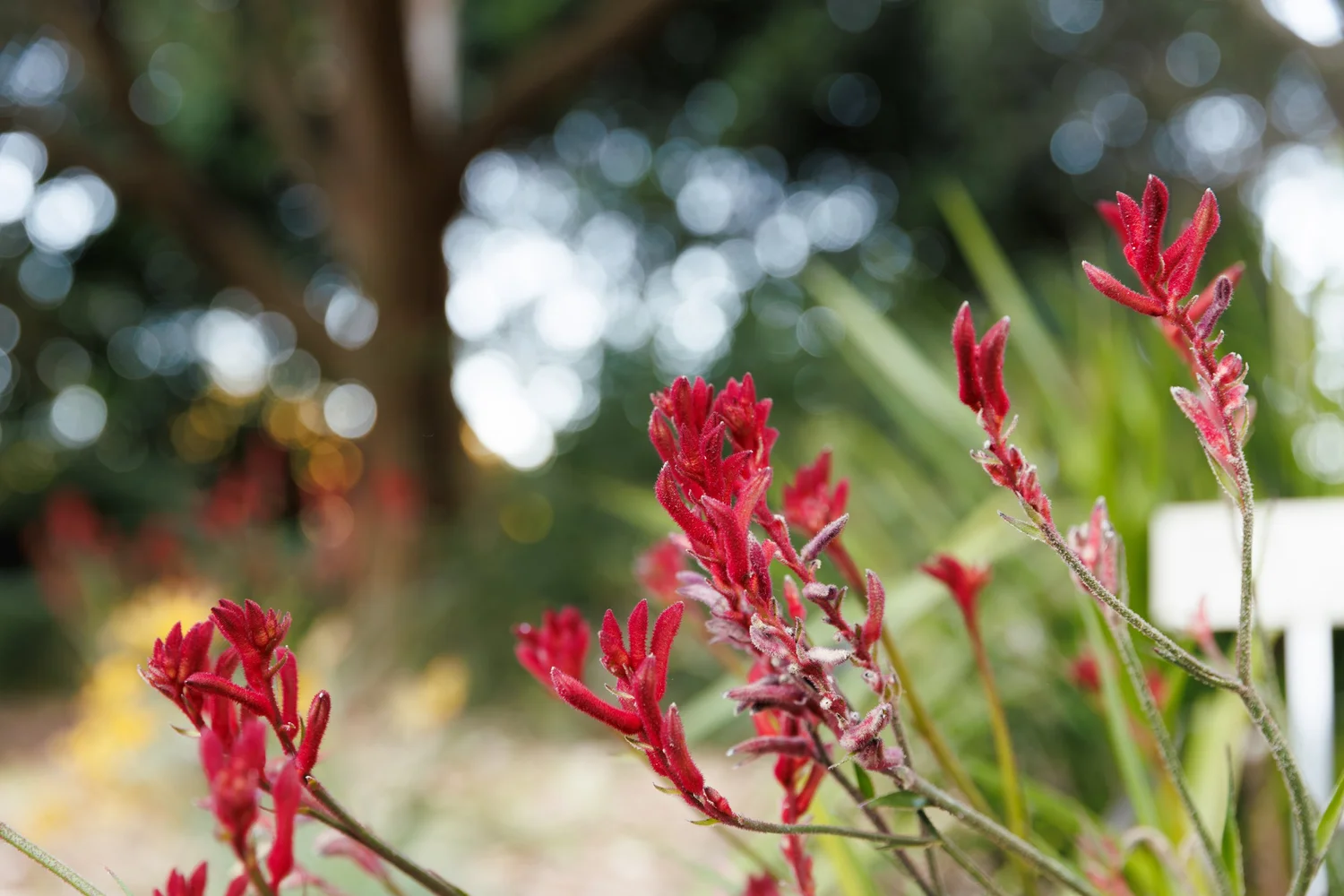 Infrastructure Advisory Group (IAG) — Yorkway Private