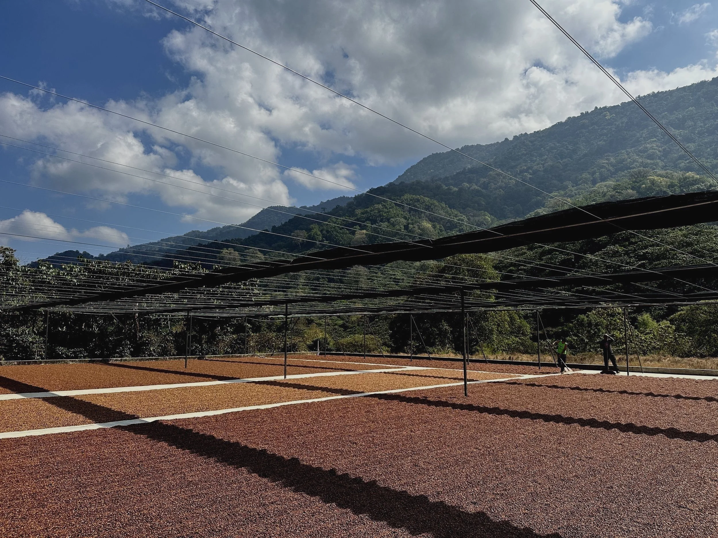 Finca Nuevo México