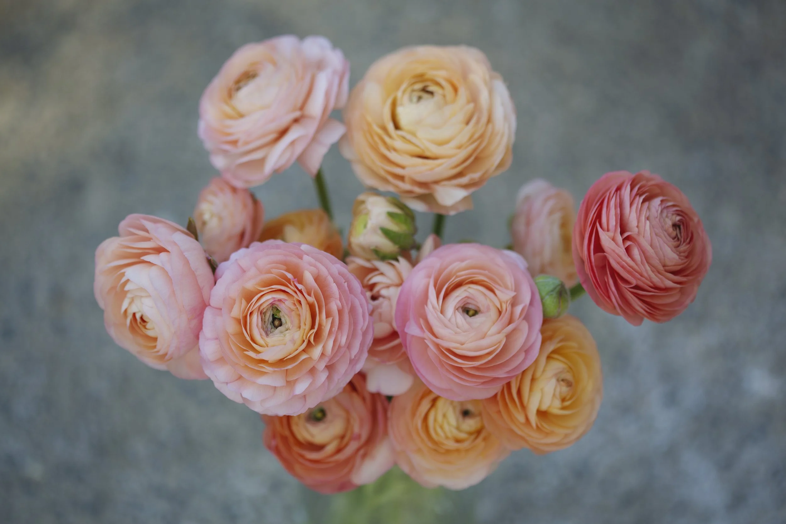 Busy Bee Farm & Florals