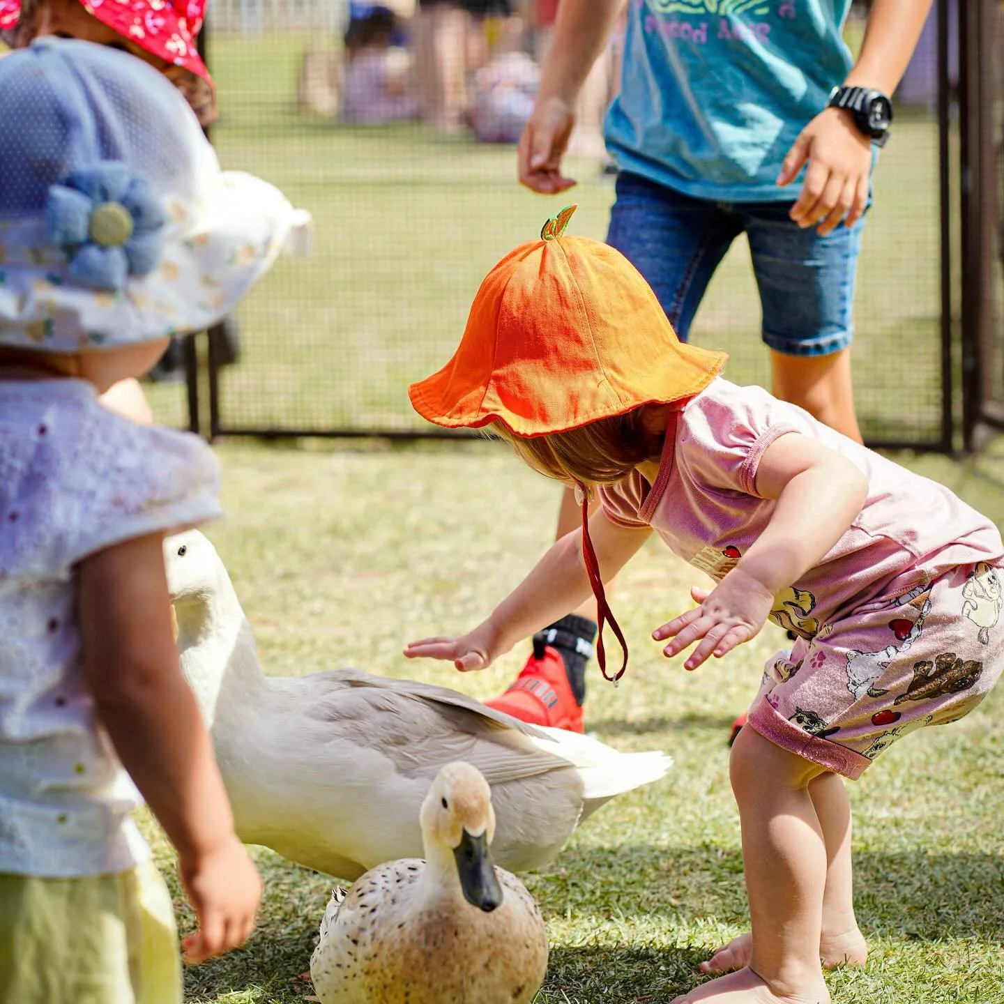 Stallholders — Donnybrook Apple Festival