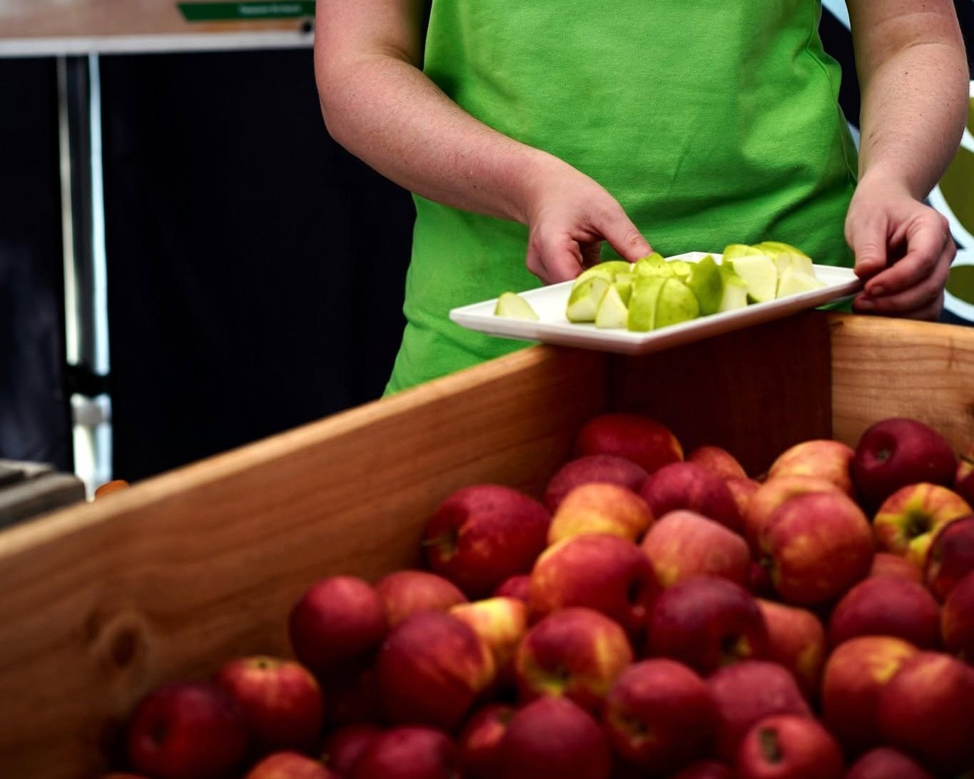 Program — Donnybrook Apple Festival