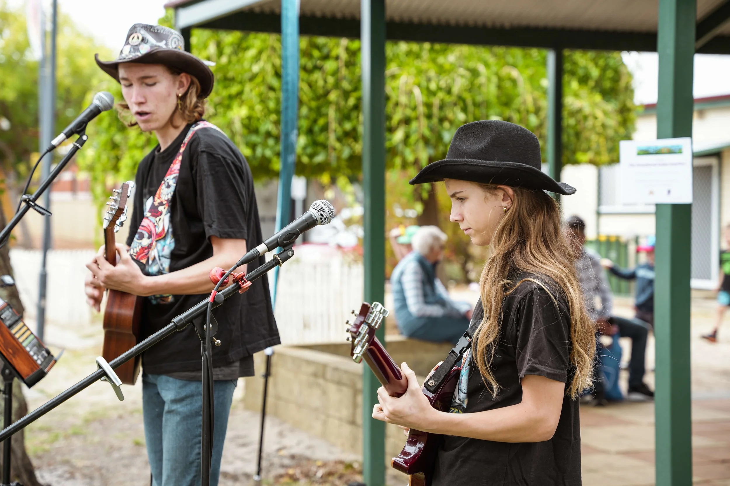 Program — Donnybrook Apple Festival