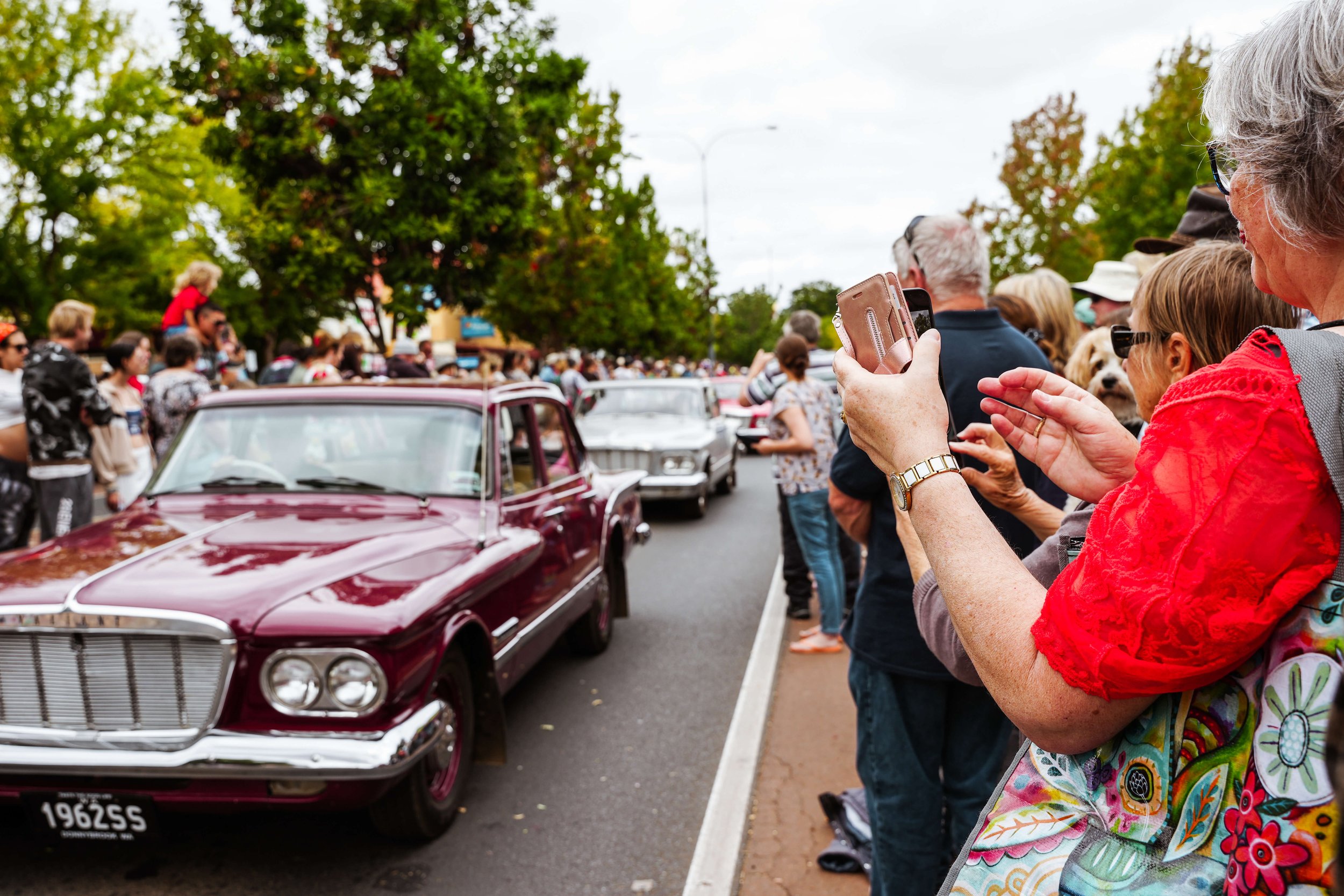 Program — Donnybrook Apple Festival
