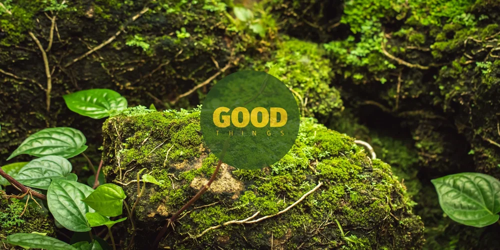 Good Things