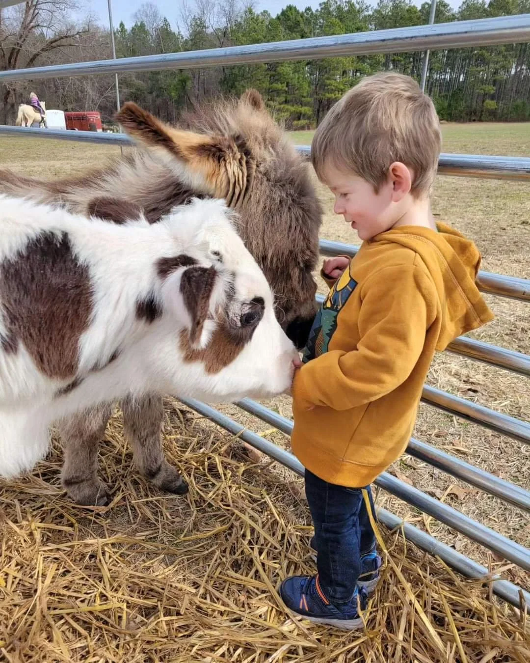General 1 — The Pint Sized Pasture