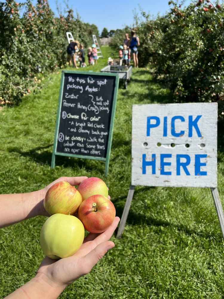 Butternut Farm - A Pick Your Own Fruit Farm