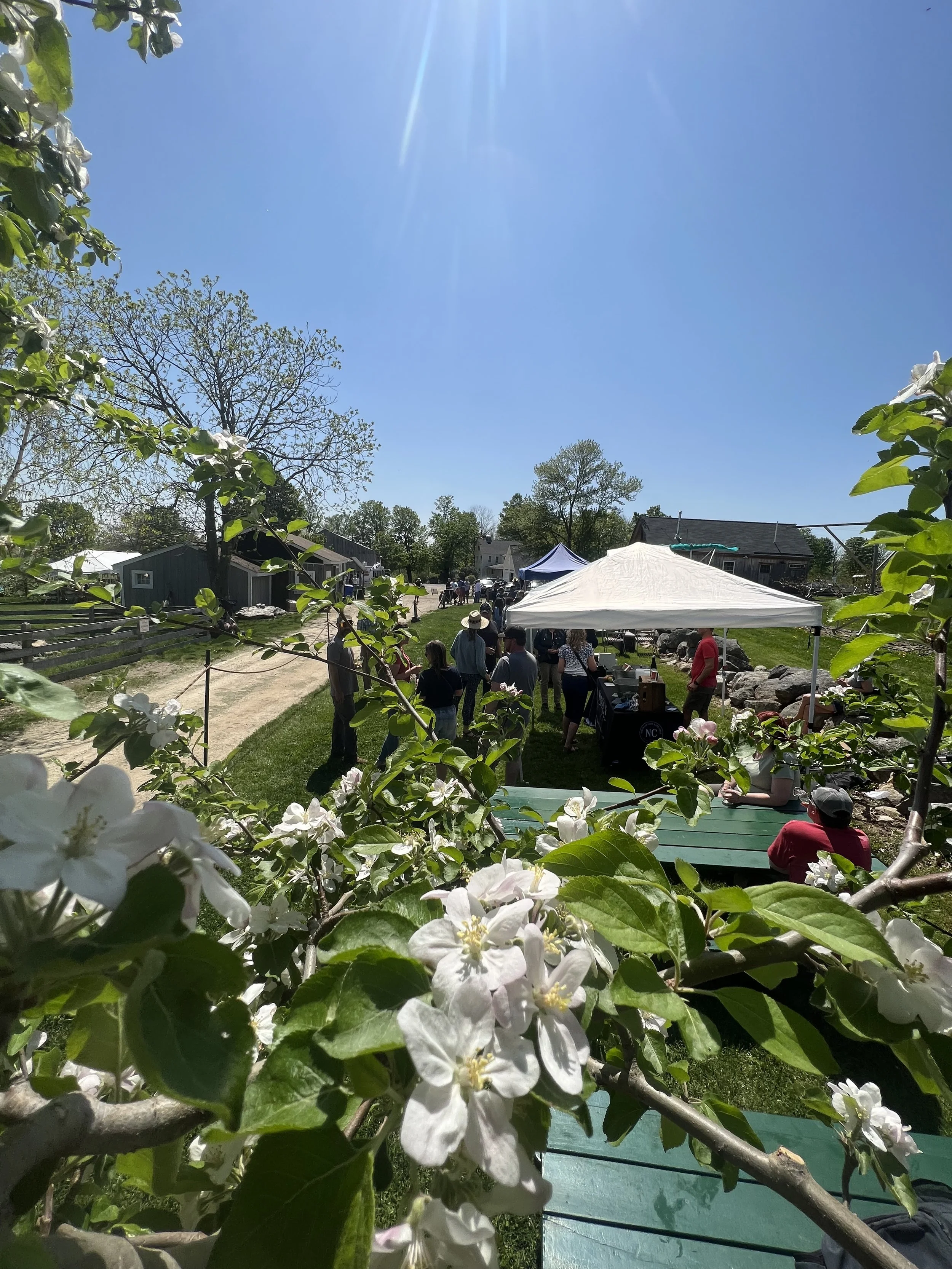 Butternut Farm - A Pick Your Own Fruit Farm