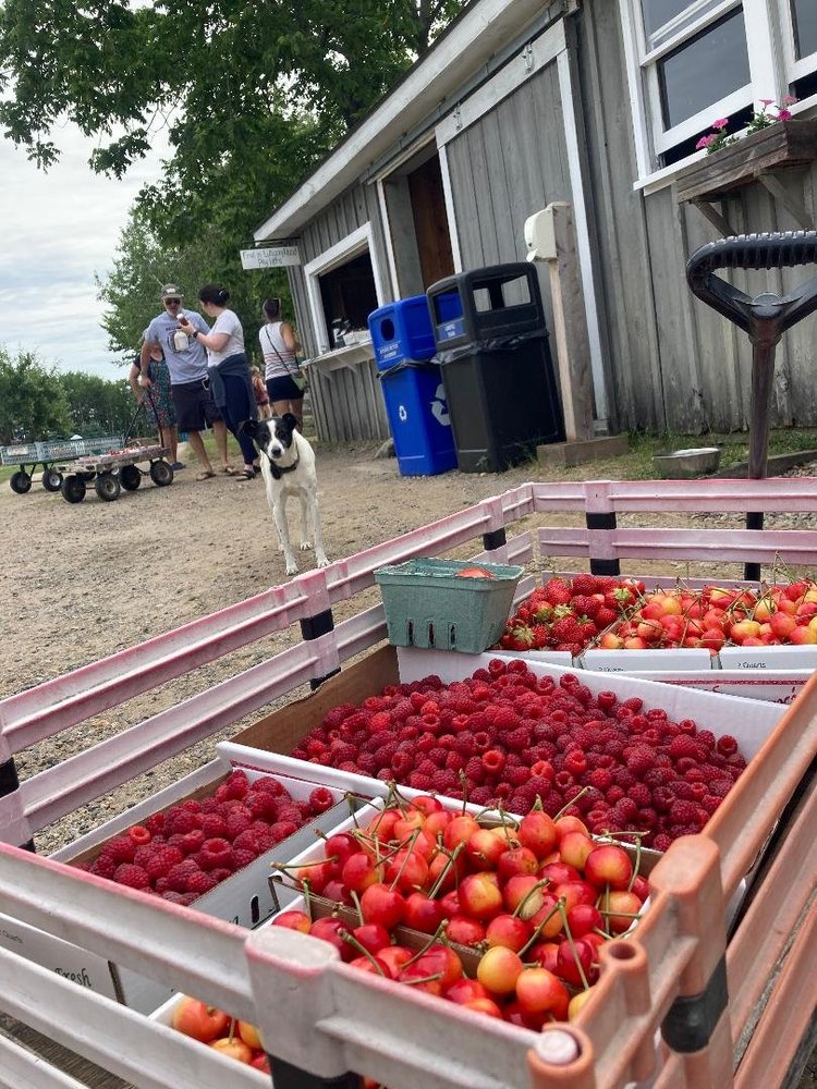 Butternut Farm - A Pick Your Own Fruit Farm
