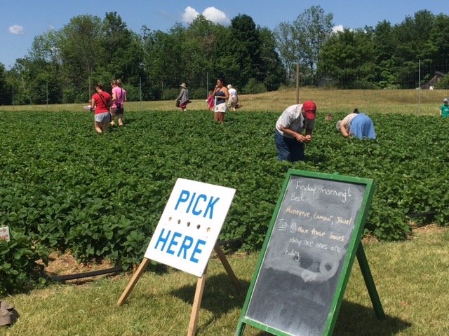 Plan Your Visit - Butternut Farm
