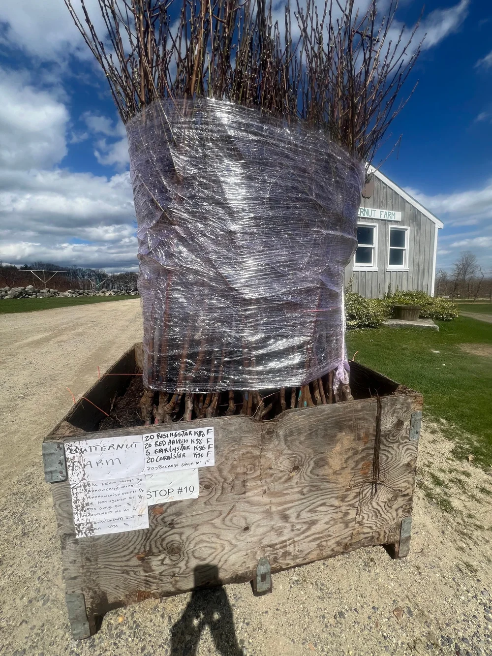 Butternut Farm - A Pick Your Own Fruit Farm